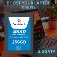 Consistent 2.5" 256GB SSD with SATA III Interface, 6Gb/s Read/Write Sp ...
